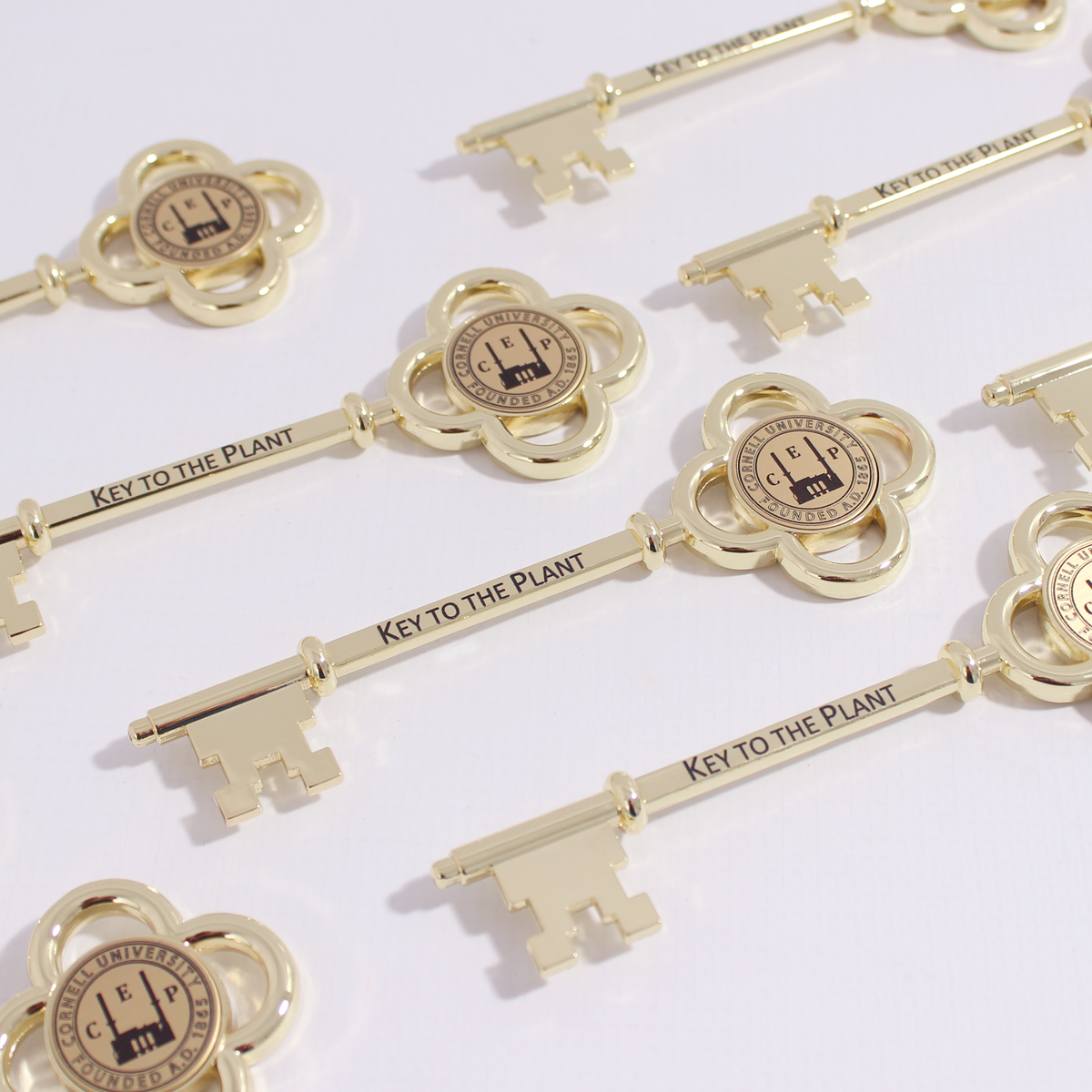 5-7/8" Gold Plated Ceremonial Key - Engraving, Awards & Gifts